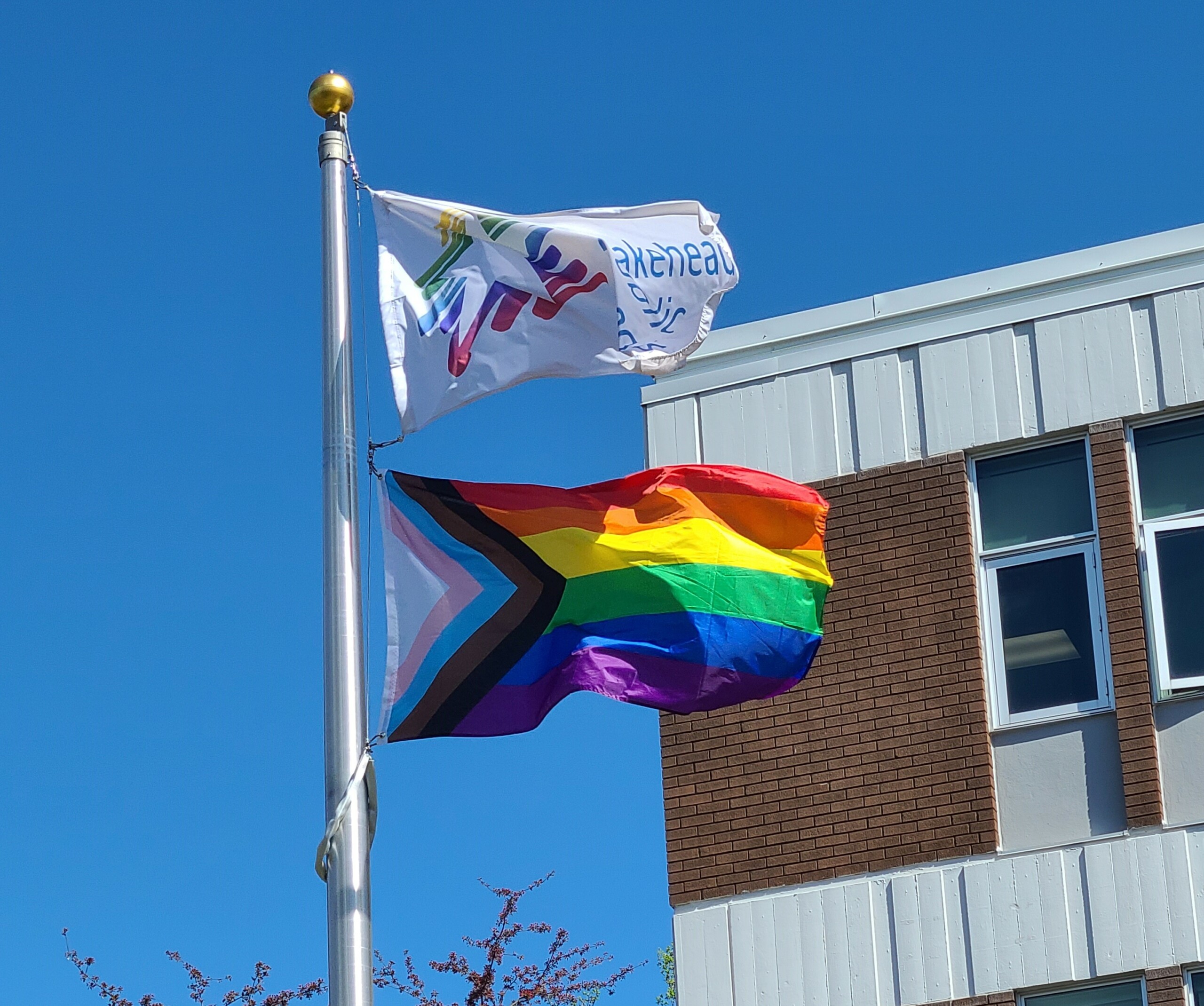 Pride Lives Here - Superior CVI