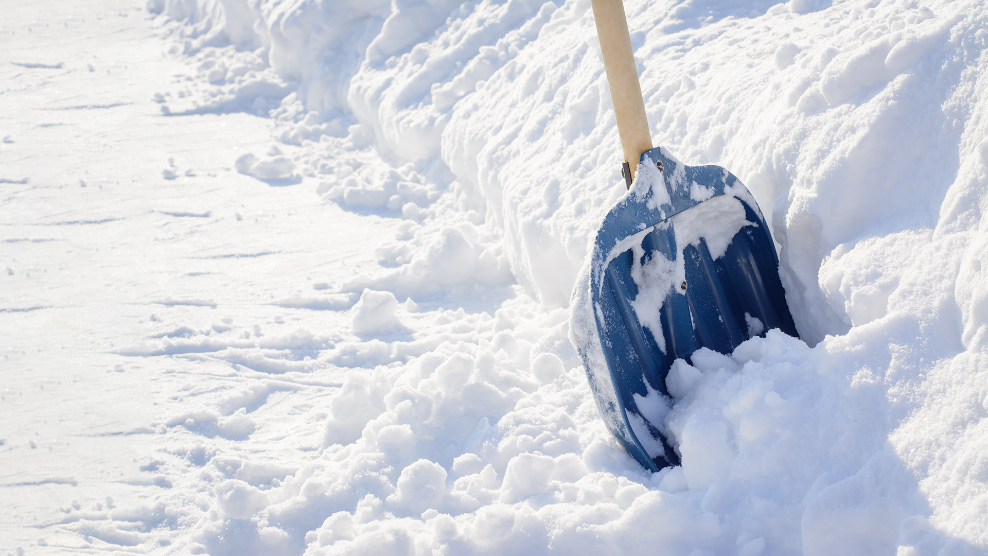Nov 15: All Buses Cancelled, Most Schools Open - Superior CVI